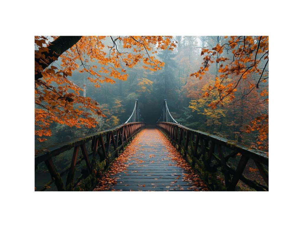 Ember Blossom – Canvas Art Prints