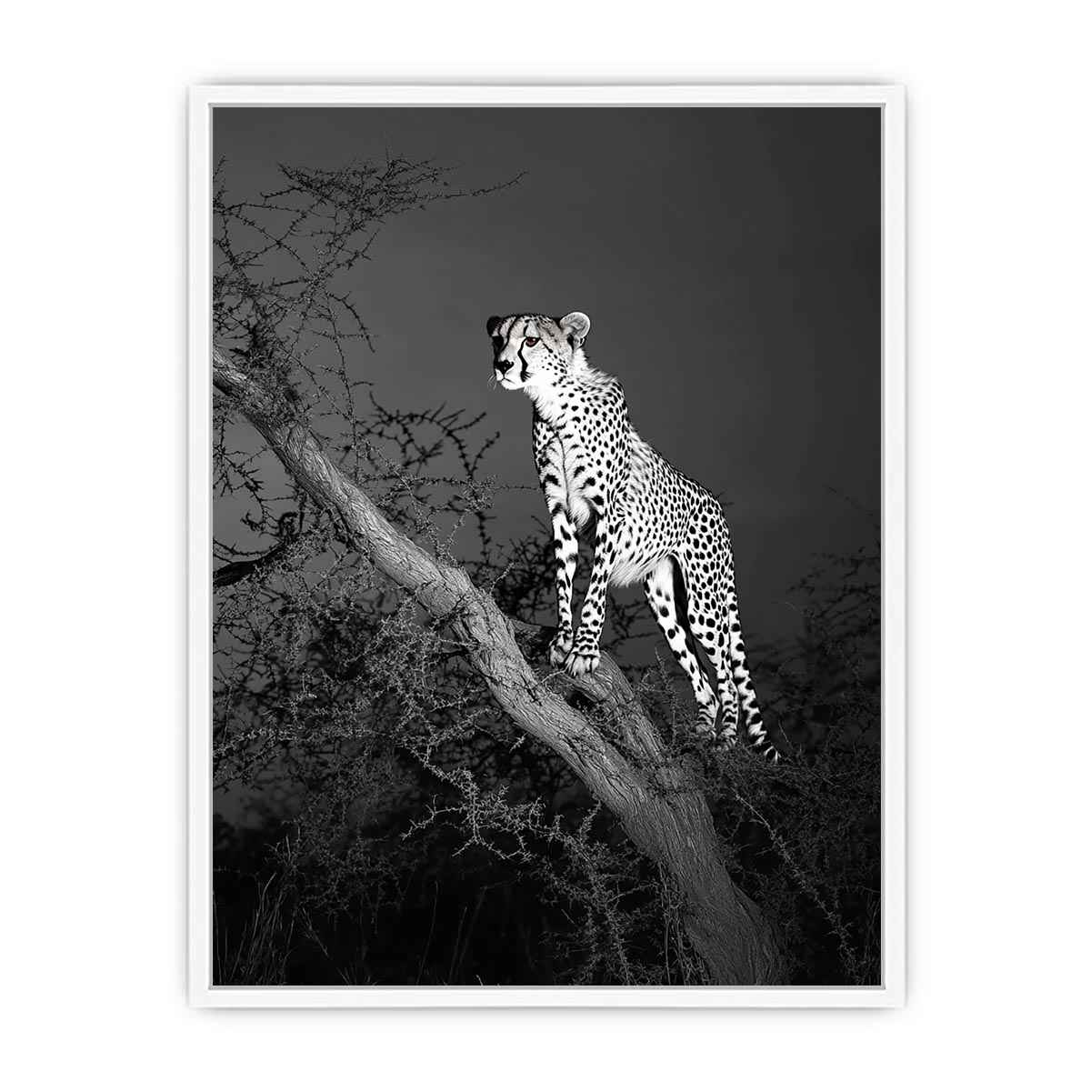 Cheetah Print – Canvas Art Prints