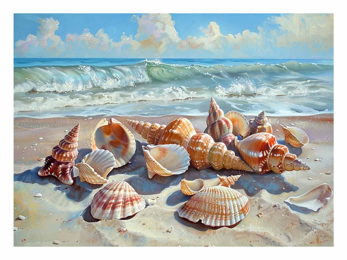Collection of Shells – Canvas Art Prints